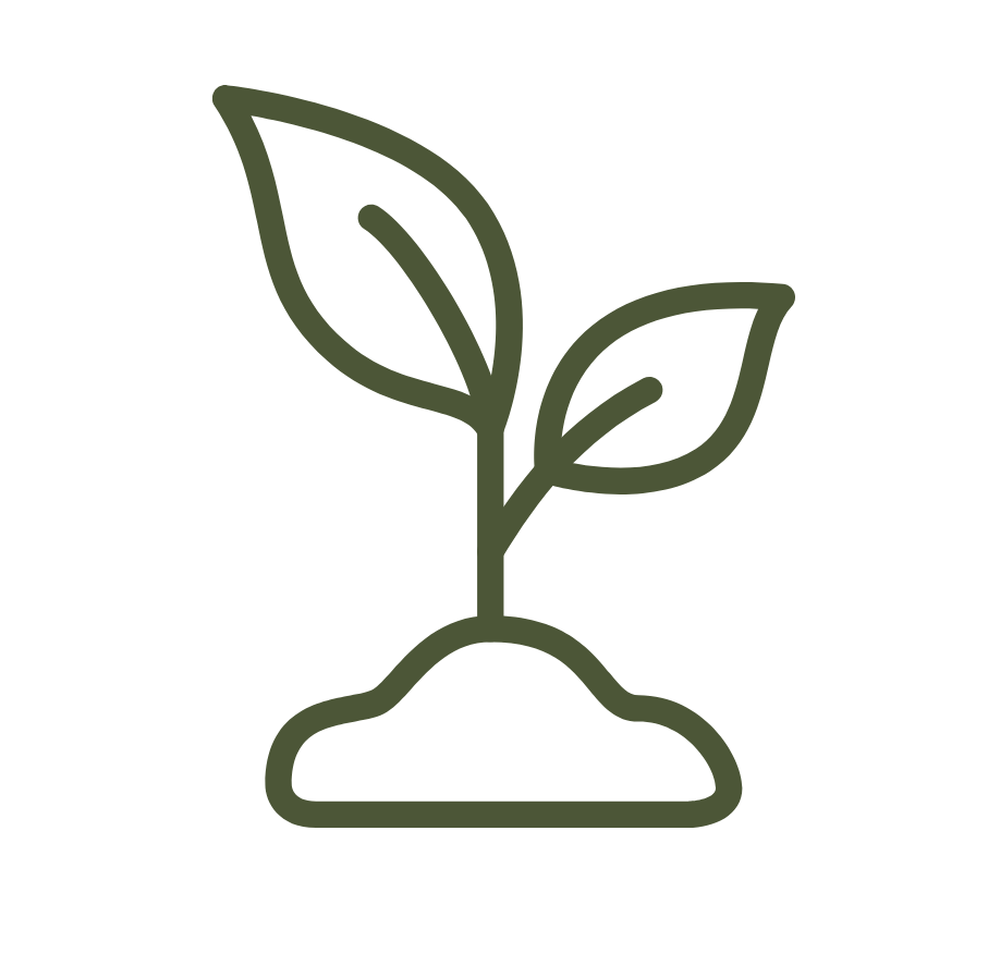 Marusha Natural Handmade Zero waste cosmetic – MARUSHA